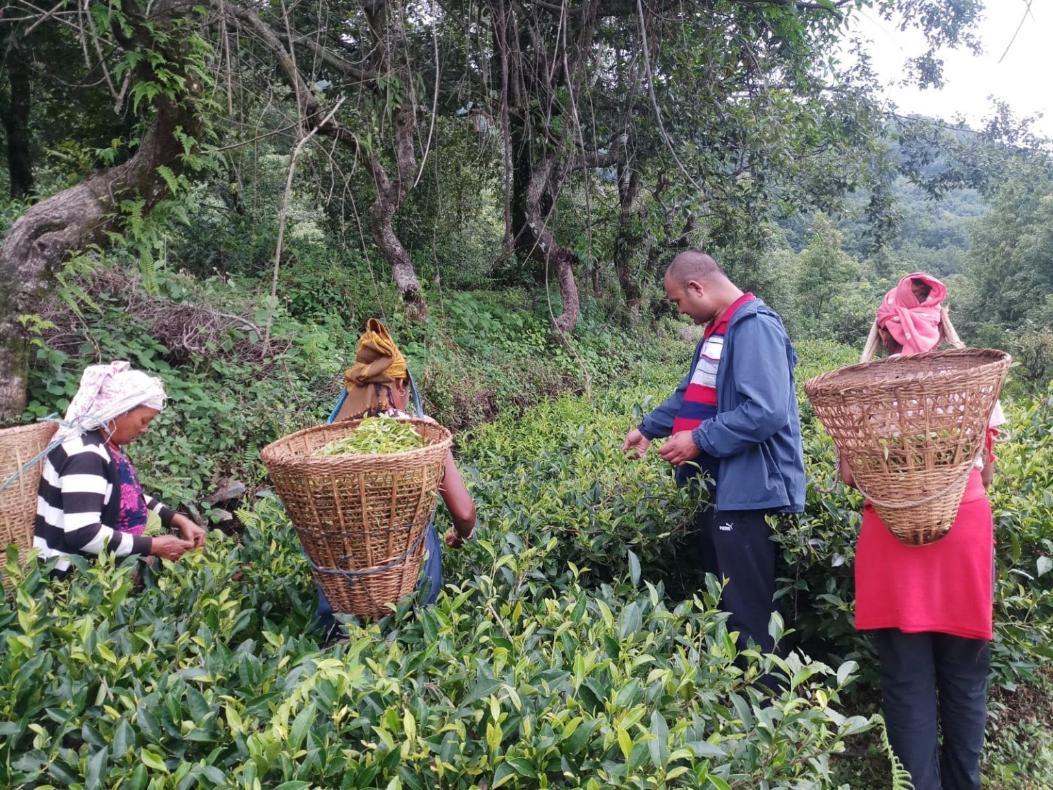 Farmers Care - Organic Venture Nepal